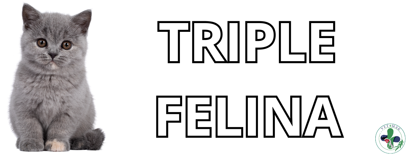 TRIPLE FELINA - Clínica Veterinaria y Boutique
