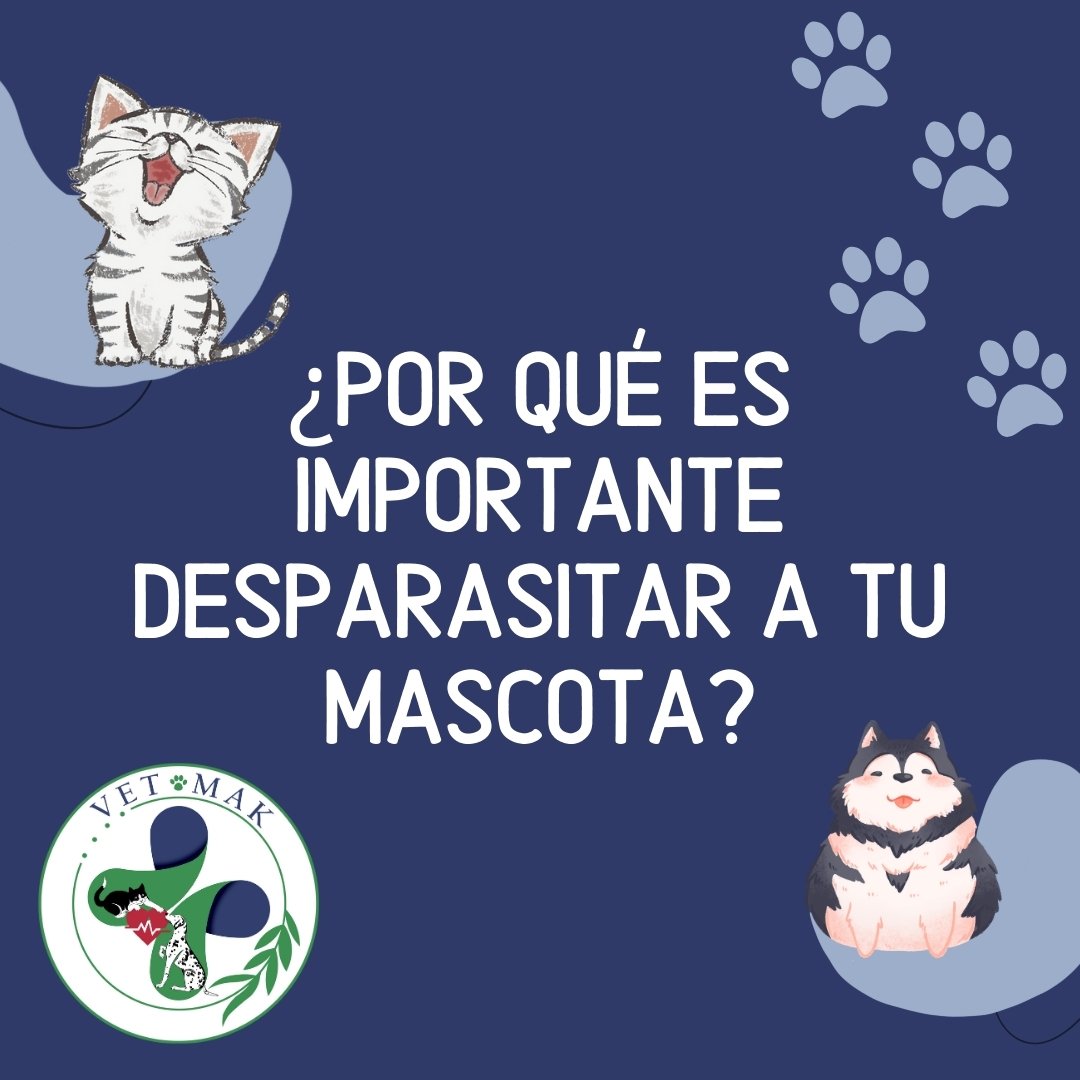¿Por qué es importante desparasitar a tu mascota? - Clínica Veterinaria ...